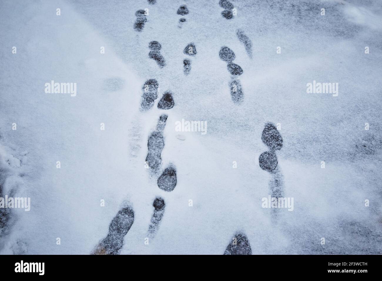 Shoe marks hi-res stock photography and images - Alamy
