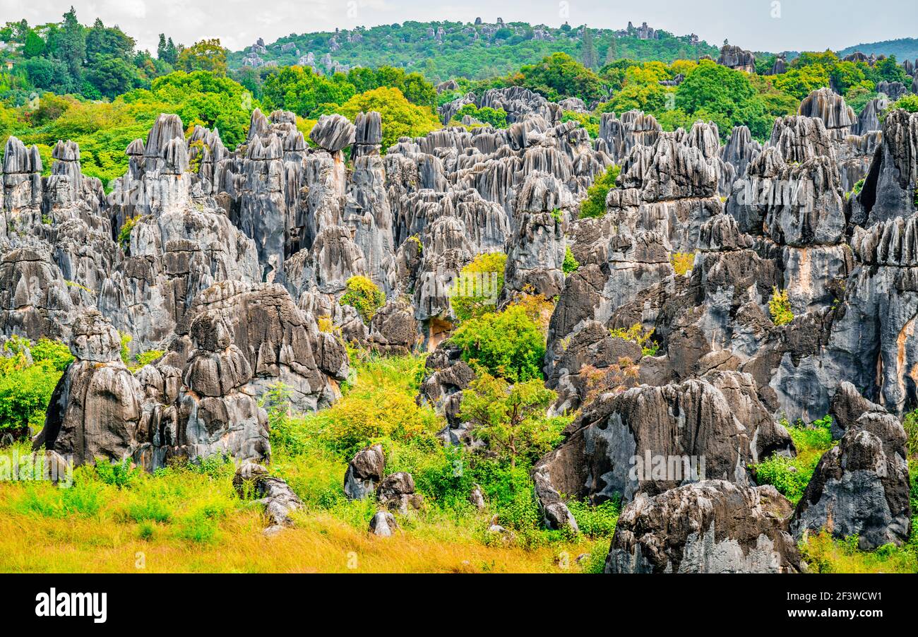 Splendid china park hi-res stock photography and images - Alamy