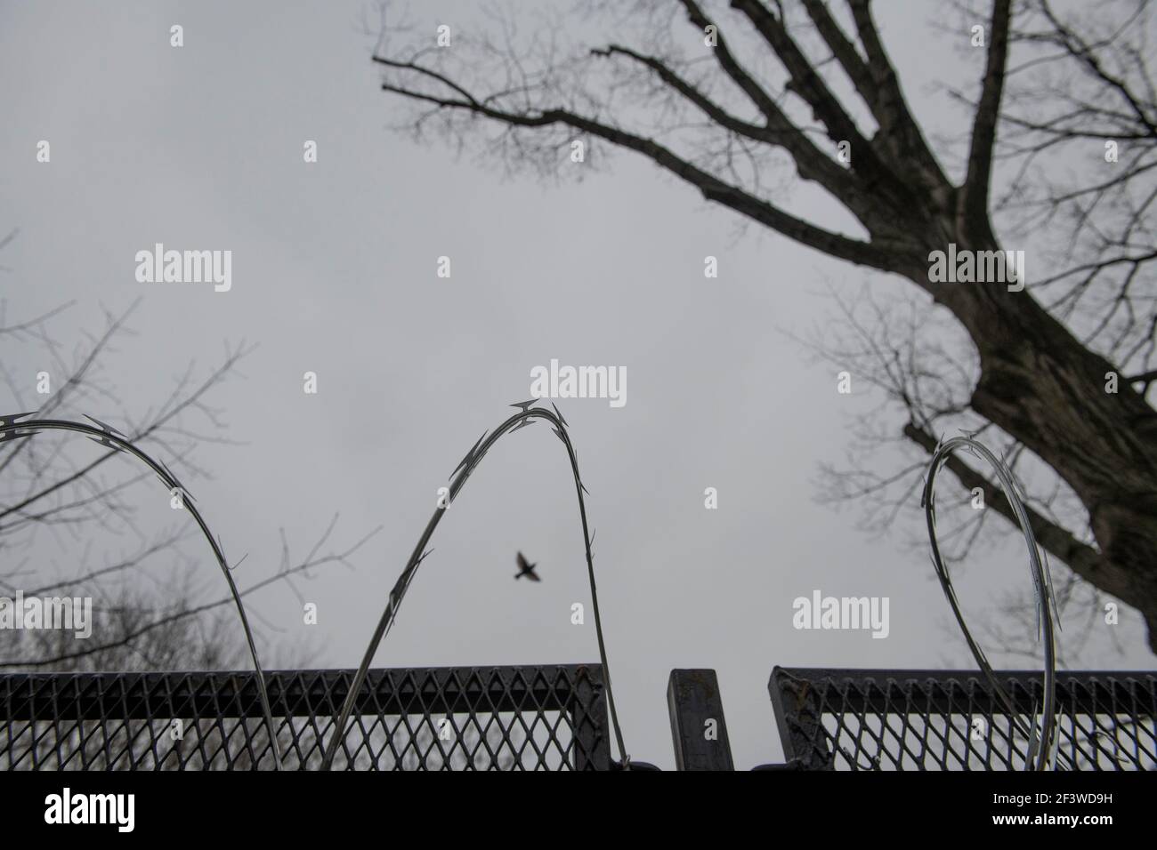 The iron, barbed wire-topped barrier fence still surrounds the U.S ...
