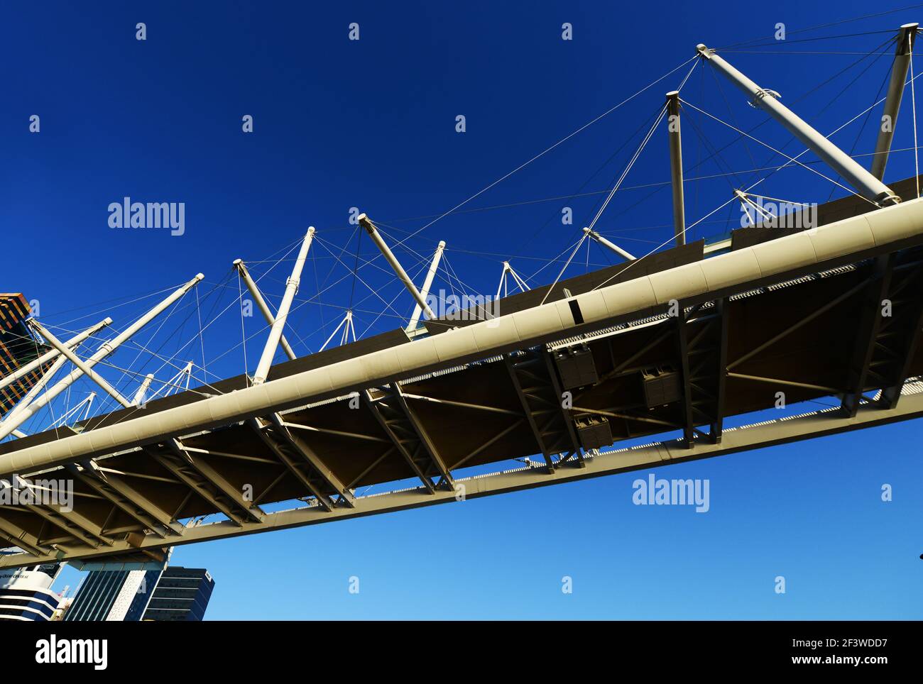Kurilpa Bridge over the Brisbane river, Queensland, Australia Stock ...