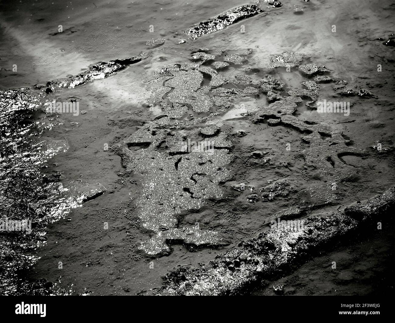 Swamp patterns hi-res stock photography and images - Alamy