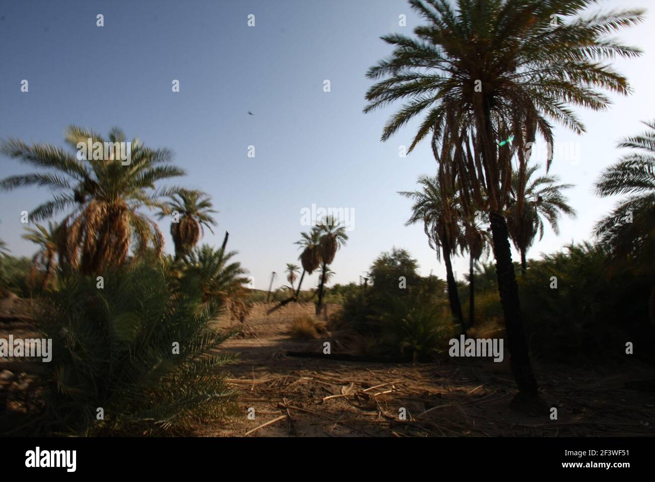 Khaybar to the north of Medina in the Hejaz. Before the advent of Islam ...