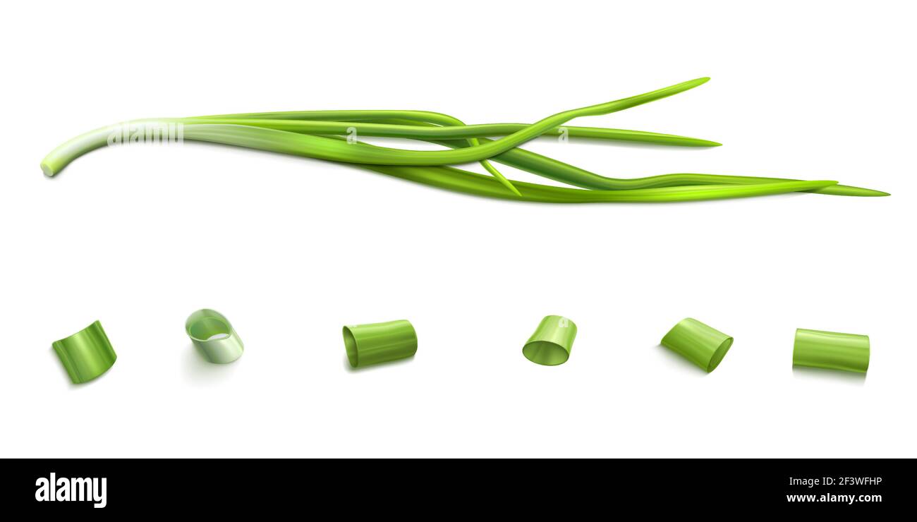 Green chive plant Stock Vector Images - Alamy