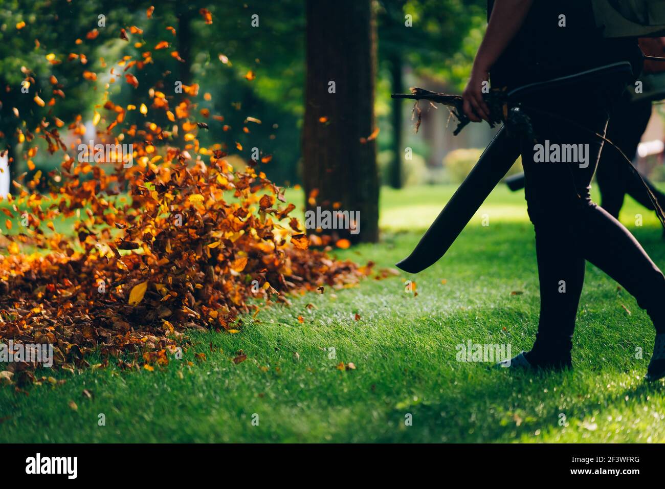 Woman blowing leaves leaf blower hi-res stock photography and images ...