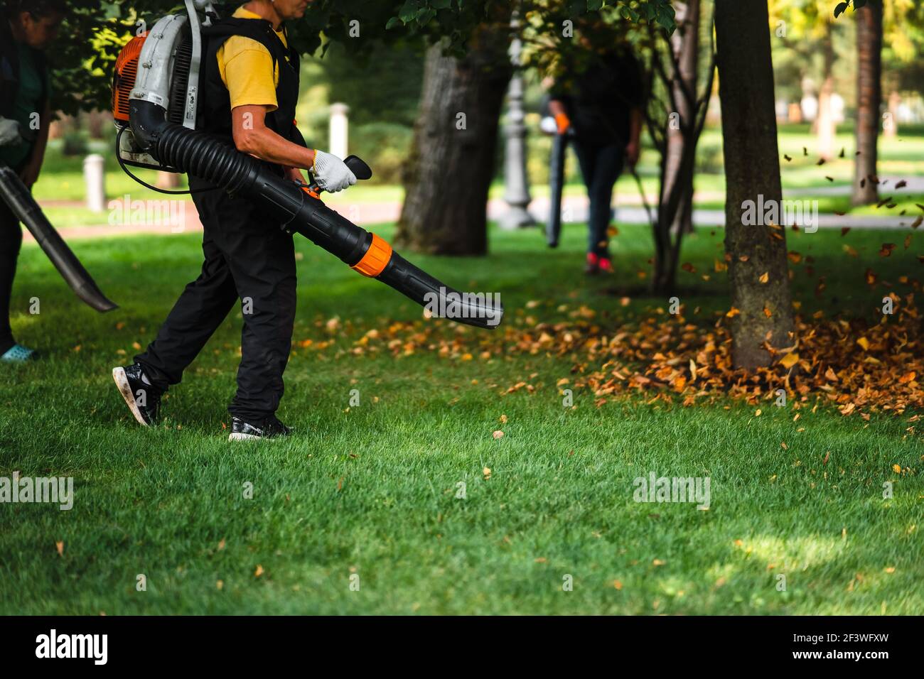 Woman blowing leaves leaf blower hi-res stock photography and images ...