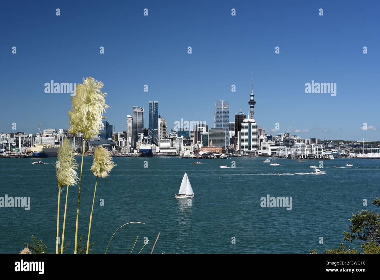 Deloitte auckland hi-res stock photography and images - Alamy