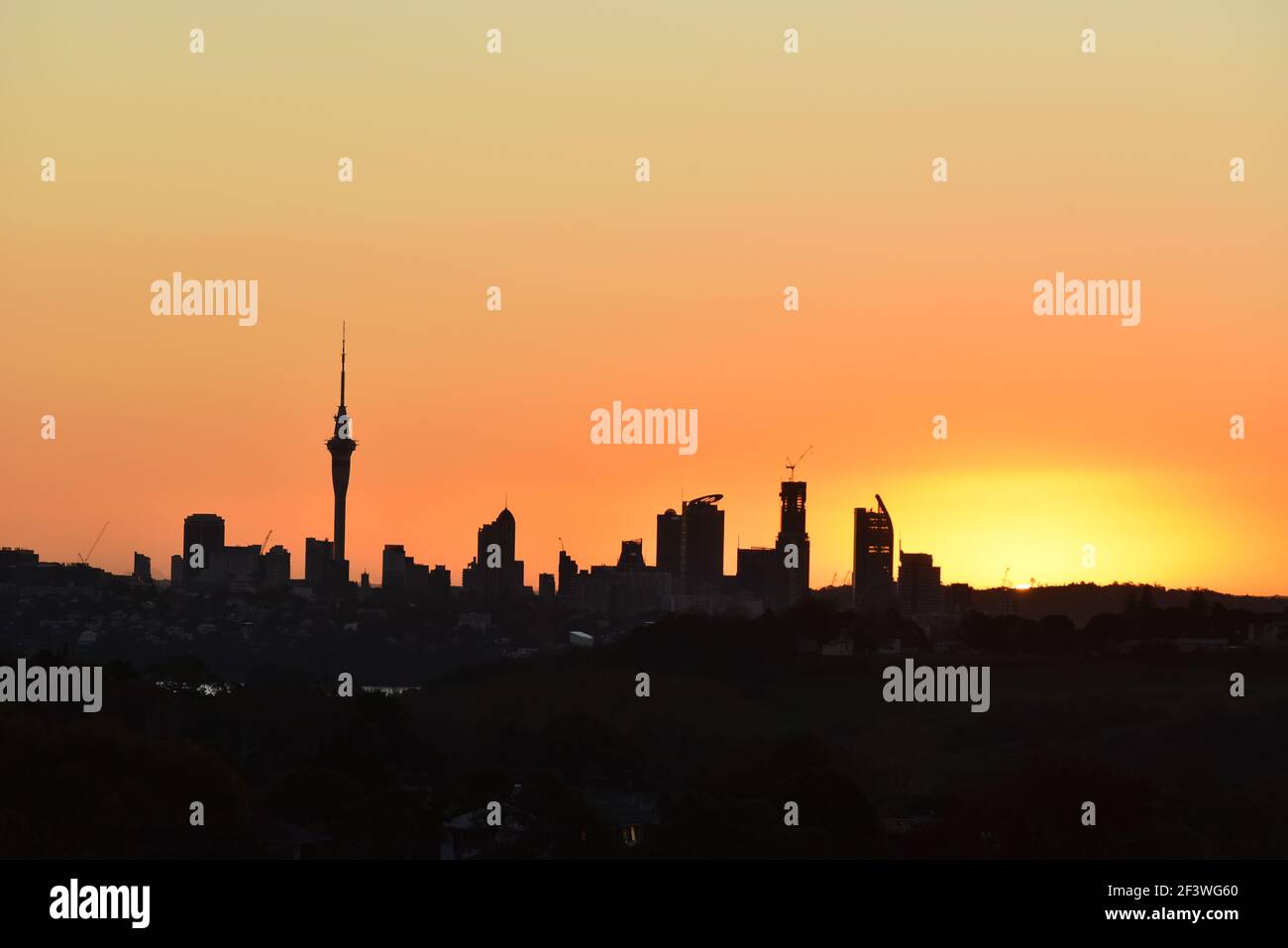 Auckland sky tower sunny hi-res stock photography and images - Alamy