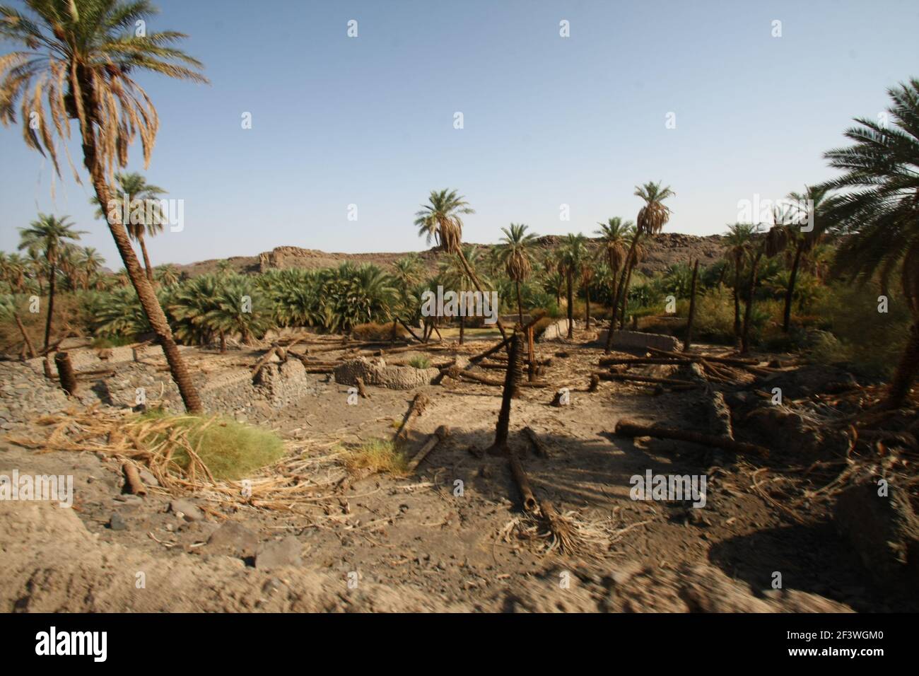 Khaybar to the north of Medina in the Hejaz. Before the advent of Islam ...