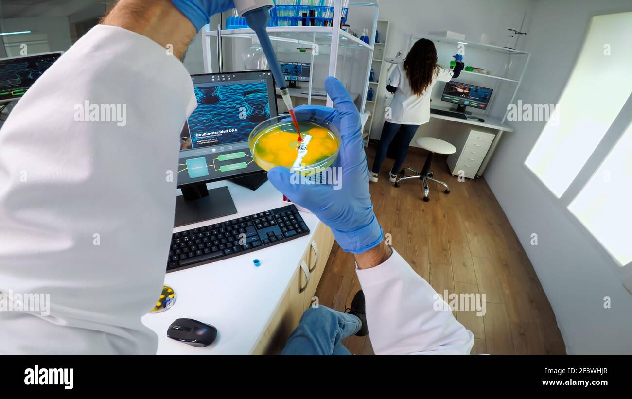 Pov doctor examining petri dish hi-res stock photography and images - Alamy