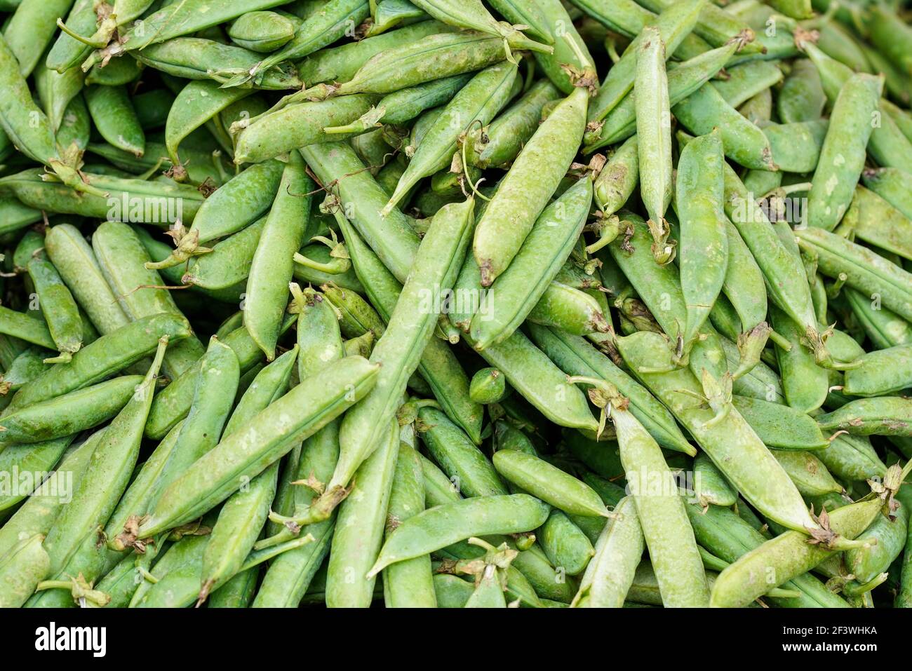 Pile of fresh green peas displayed on street food market Stock Photo ...