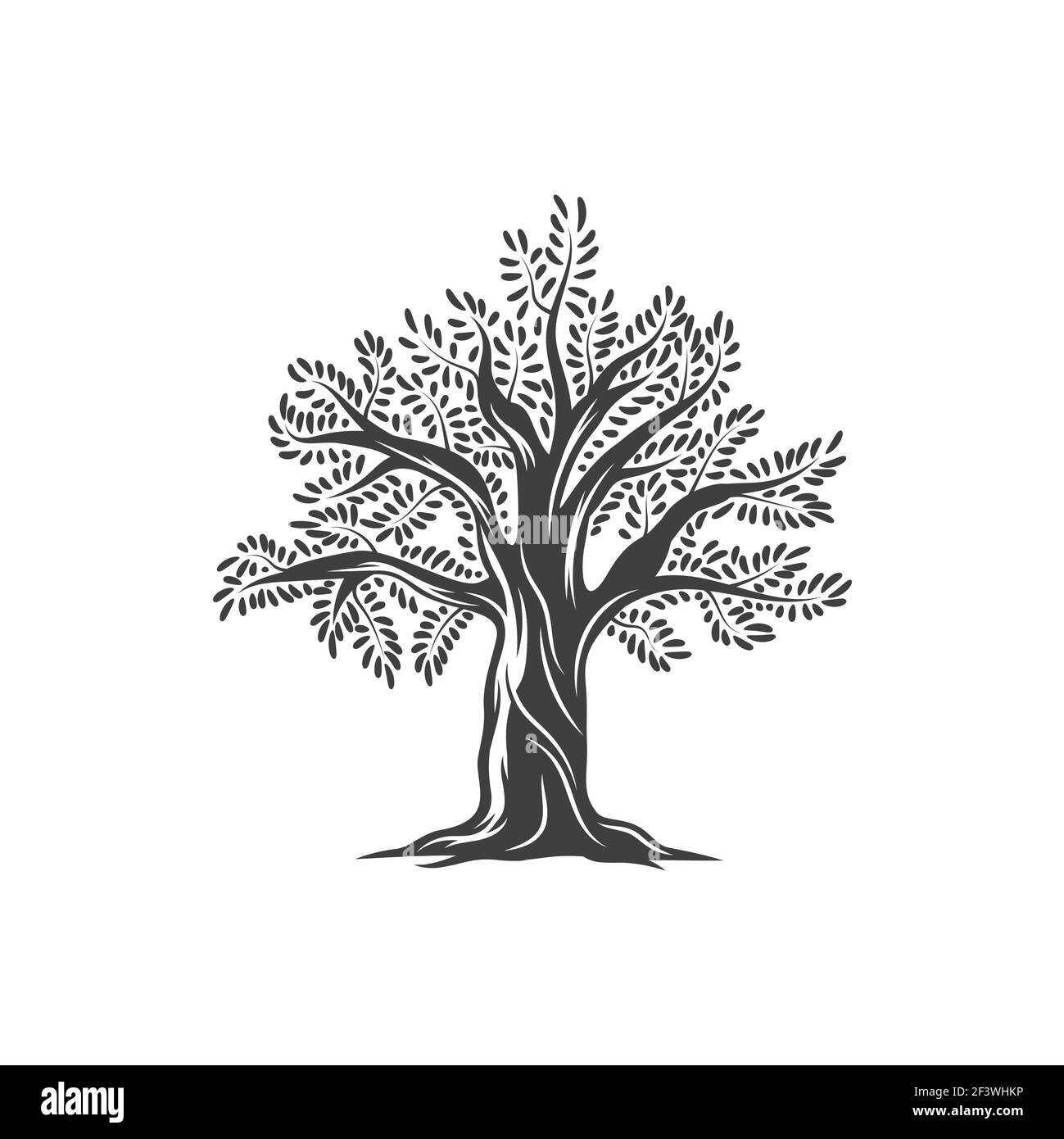 Olive tree icon, olives and leaves on branches, vector flat line label ...