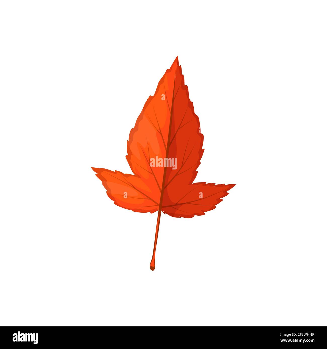 Autumn leaf icon, hawthorn tree, forest fall foliage, vector. Isolated ...