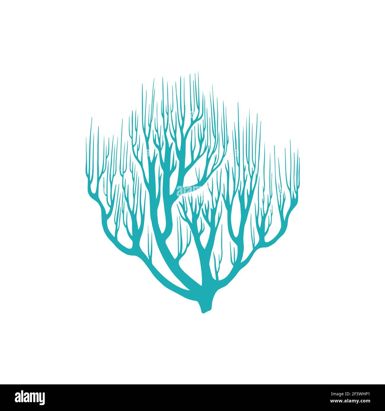 Leather mushroom coral Stock Vector Images - Alamy