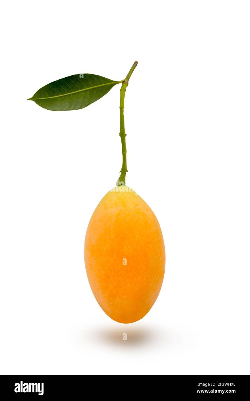 Plum mango hi-res stock photography and images - Alamy