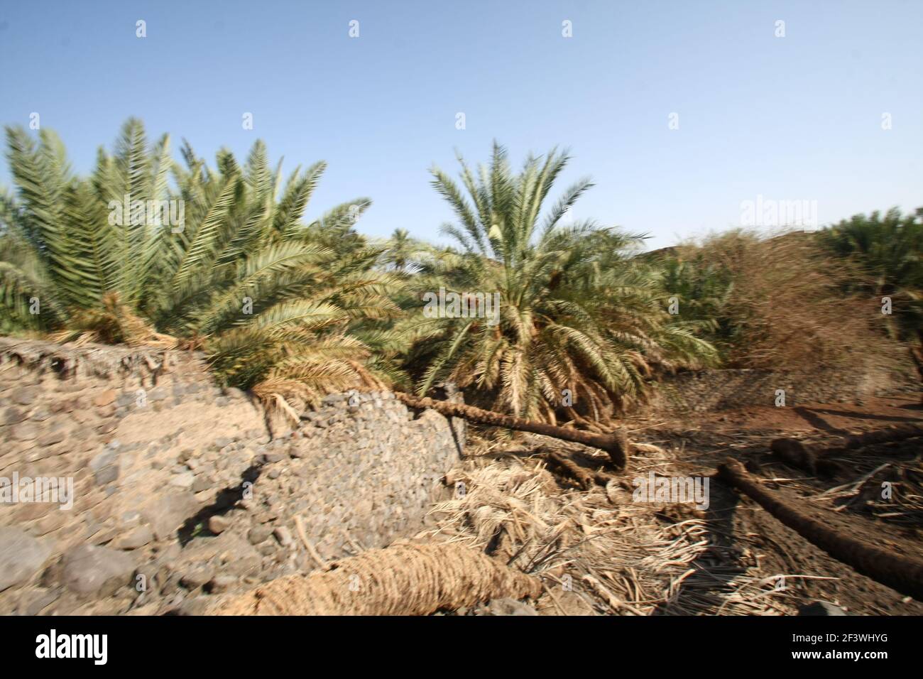 Khaybar to the north of Medina in the Hejaz. Before the advent of Islam ...