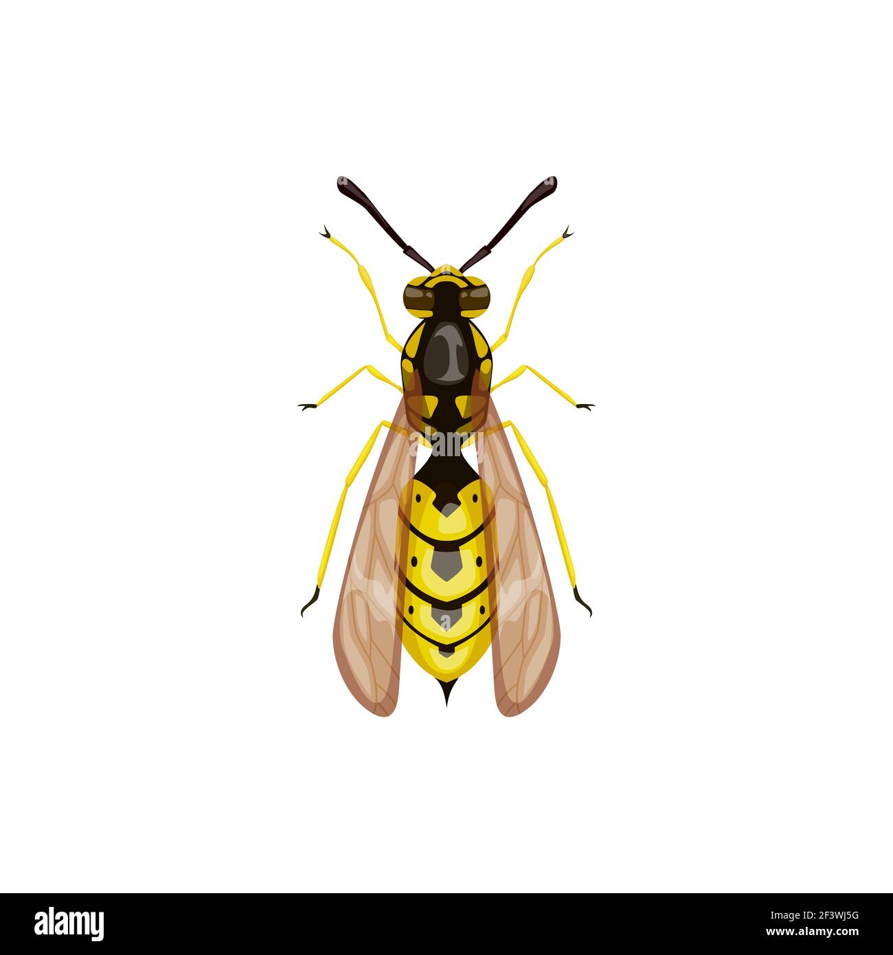 Wasp icon, pest control insect parasite, hornet vector isolated. Pest ...