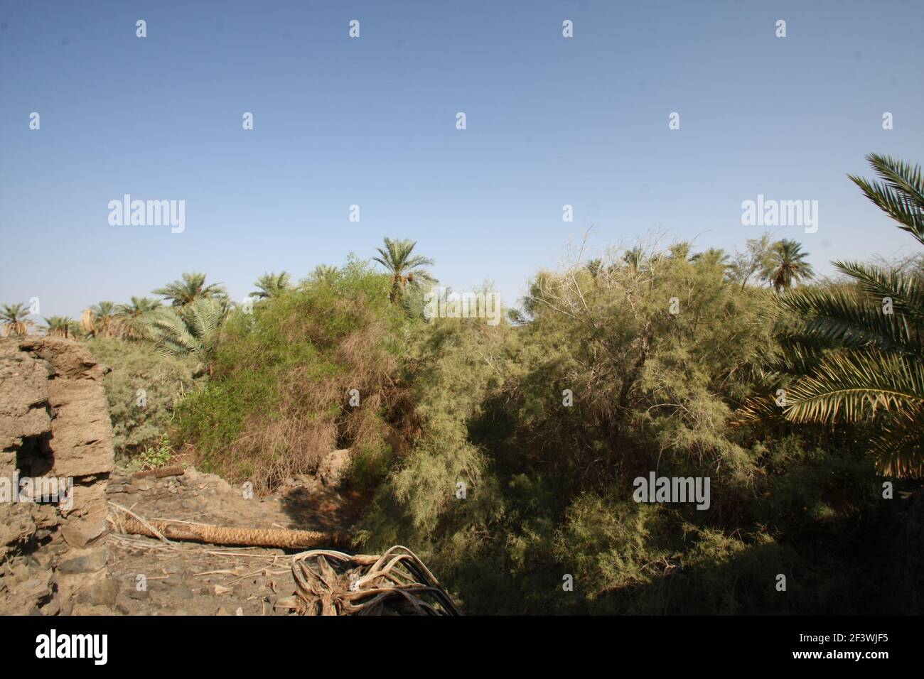 Khaybar to the north of Medina in the Hejaz. Before the advent of Islam ...