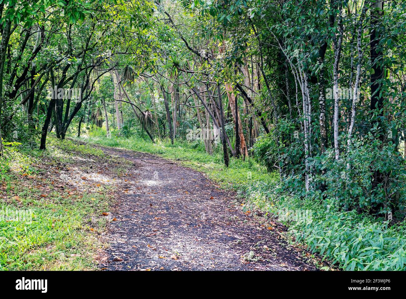 Meandering pathway hi-res stock photography and images - Alamy