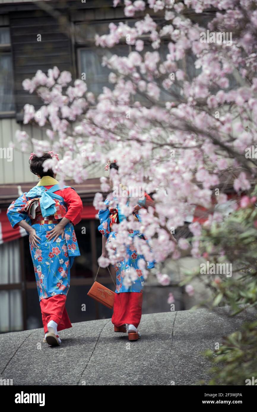 Young Japanese females wearing kimonos at the annual Yayoi Matsuri to ...