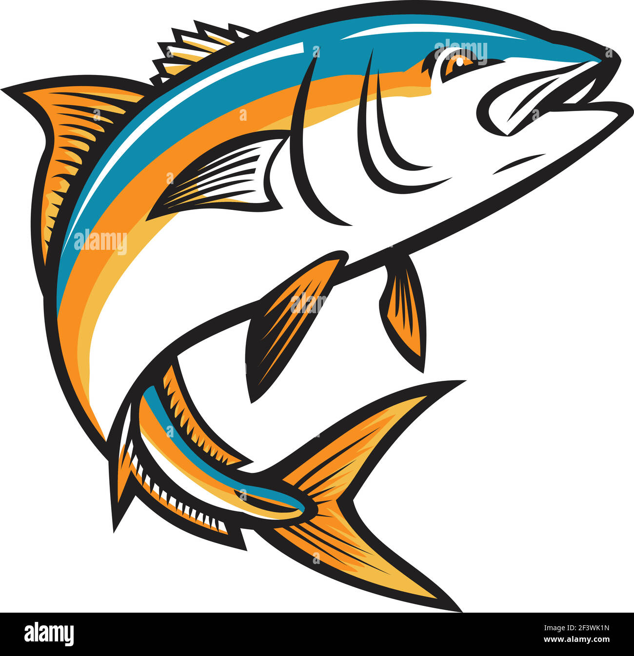Retro style illustration of a California yellowtail, amberjack ...