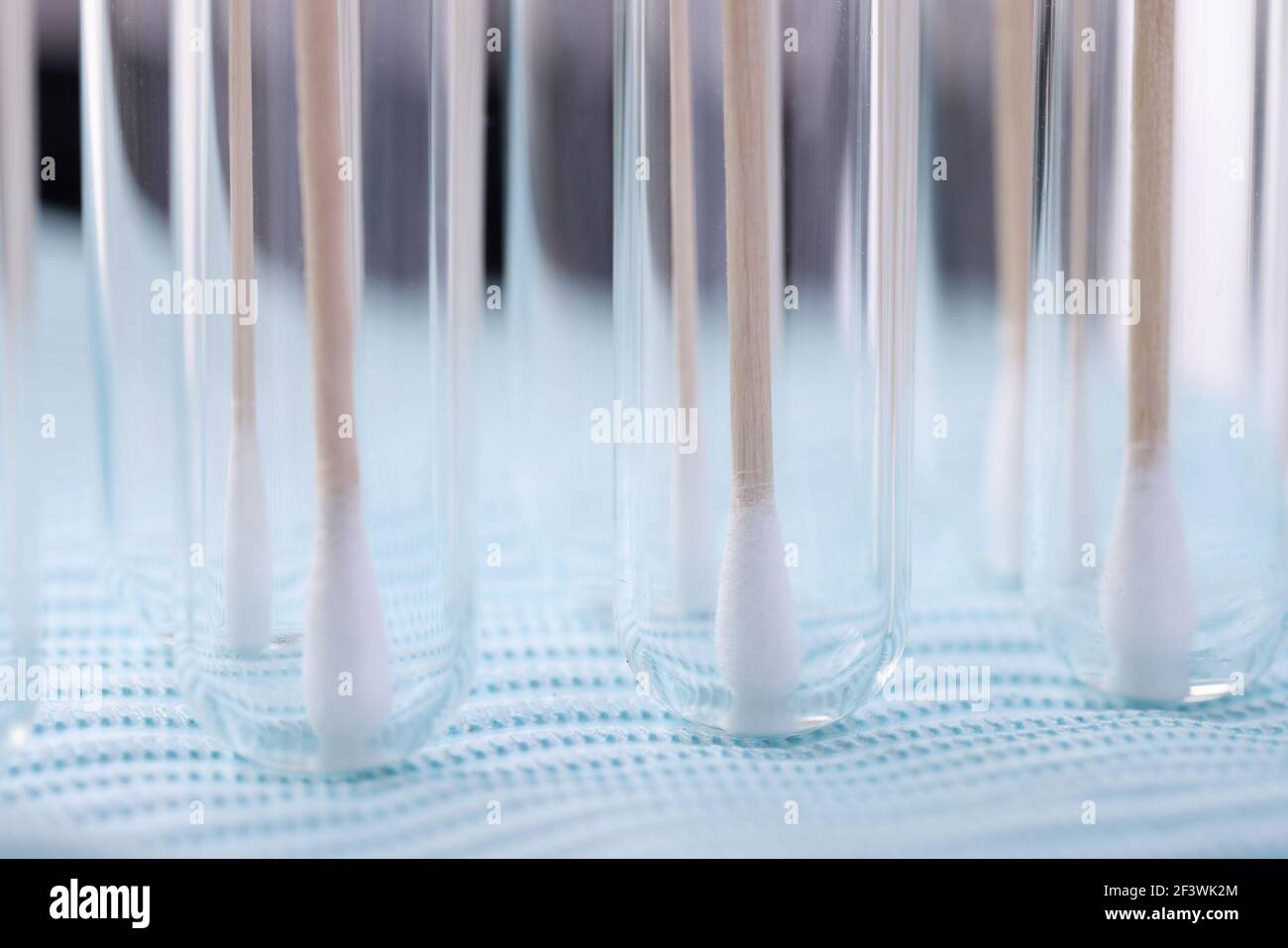 In test tube there are medical sticks for taking biological materia ...
