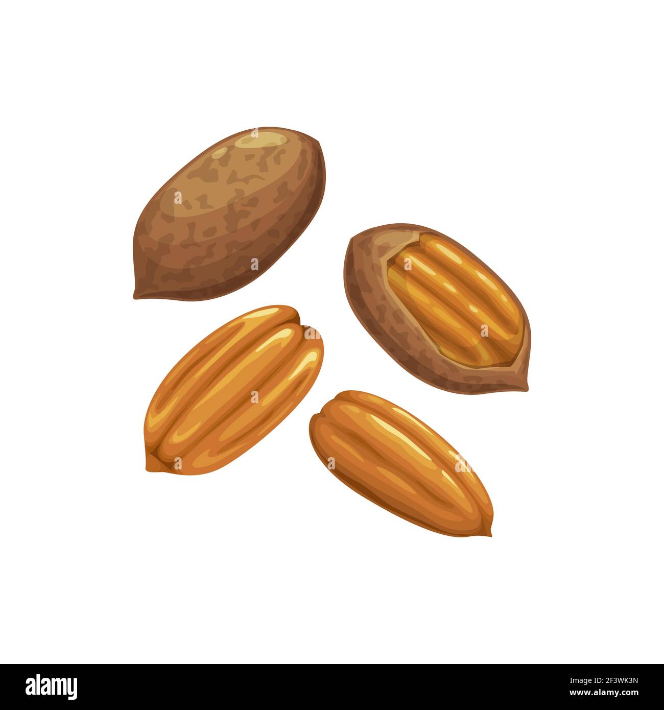Pecan nut or Carya illinoinensis isolated peeled and unpeeled food ...