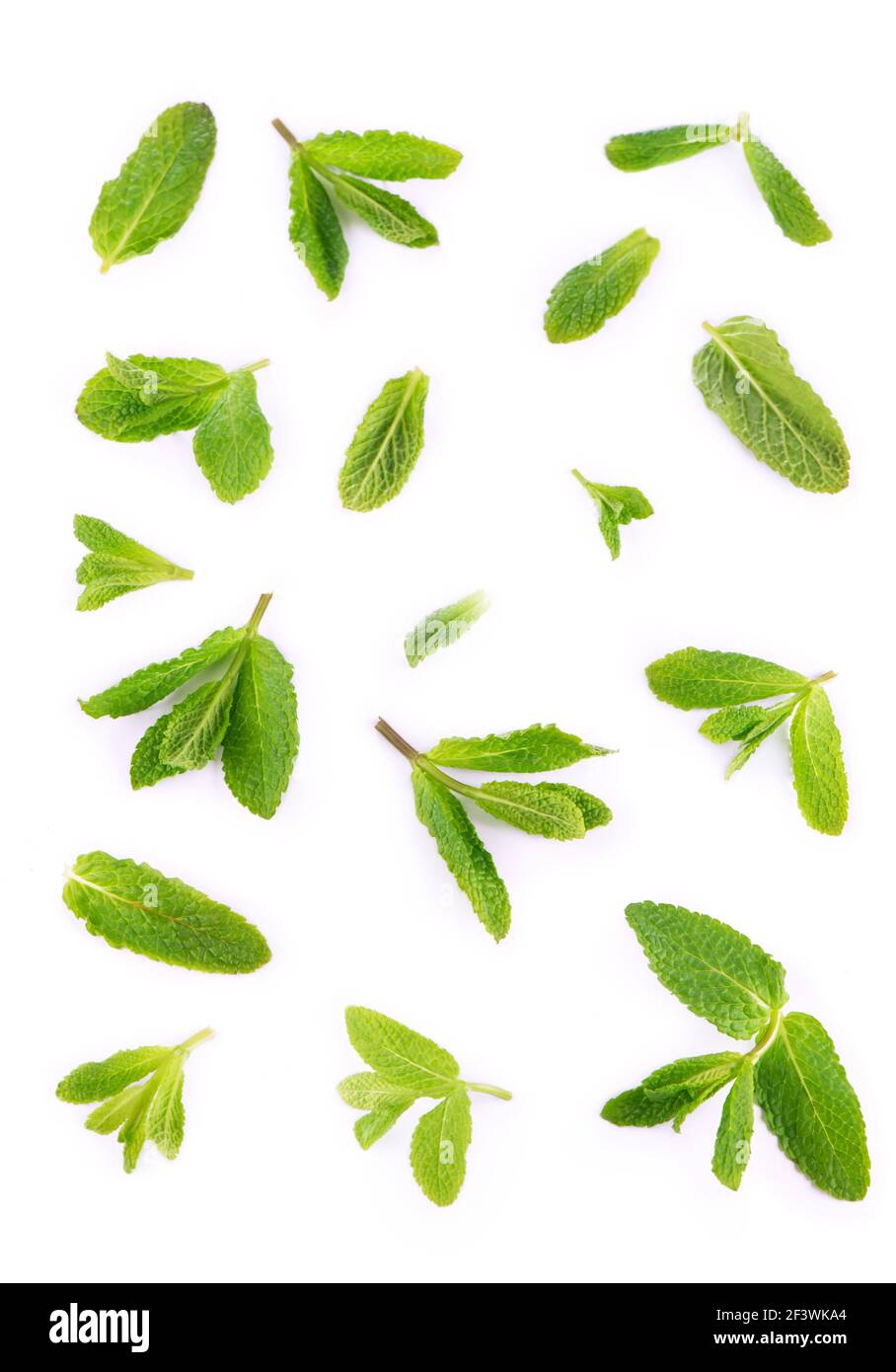 Falling green mint leaves Cut Out Stock Images & Pictures - Alamy