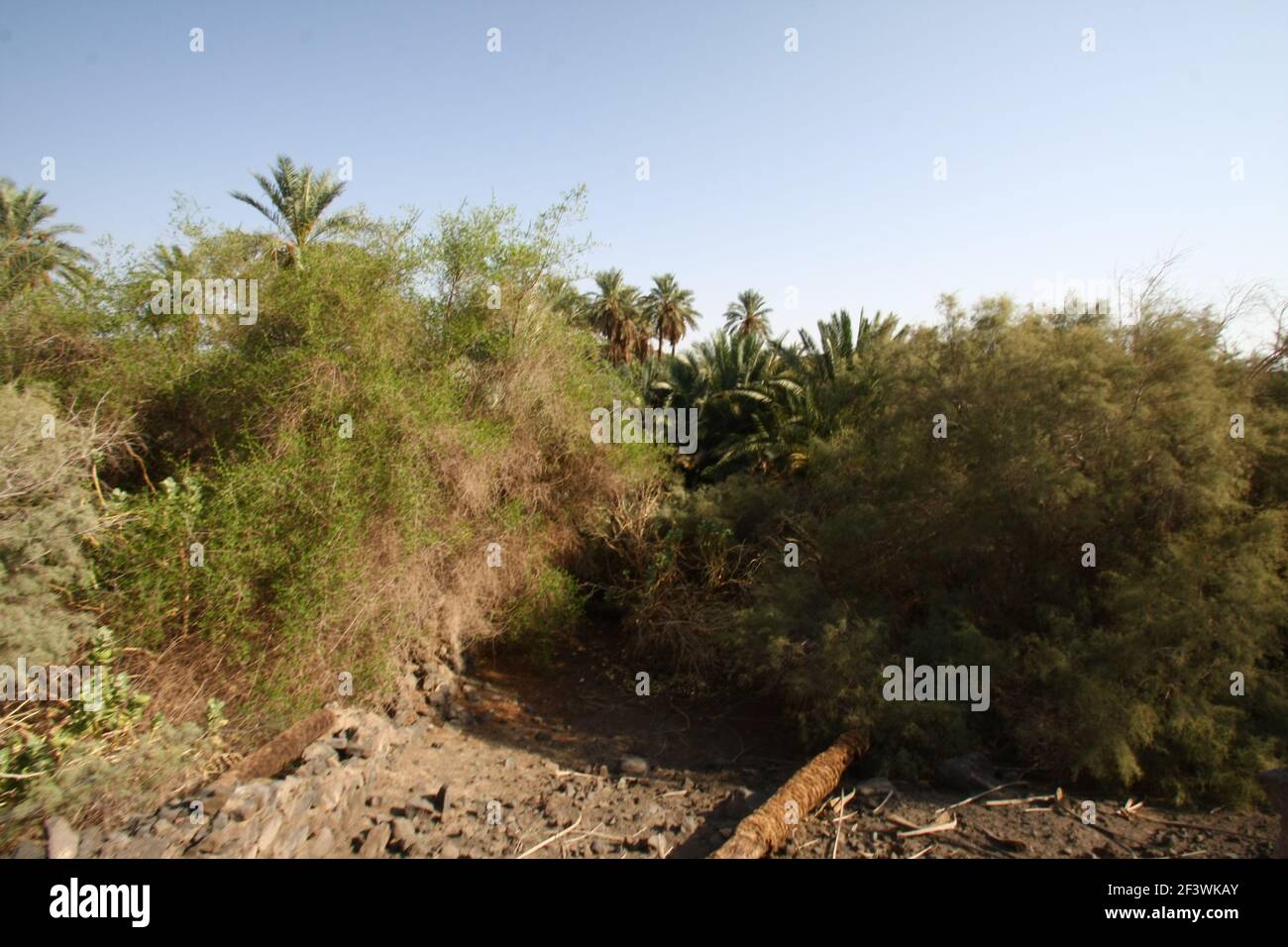 Khaybar to the north of Medina in the Hejaz. Before the advent of Islam ...