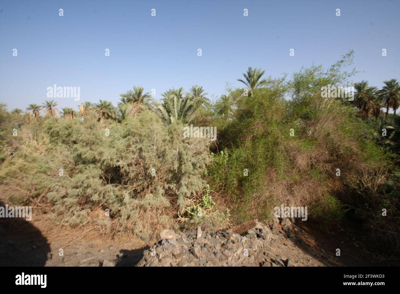 Khaybar to the north of Medina in the Hejaz. Before the advent of Islam ...