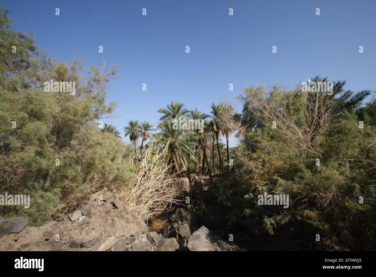 Khaybar to the north of Medina in the Hejaz. Before the advent of Islam ...