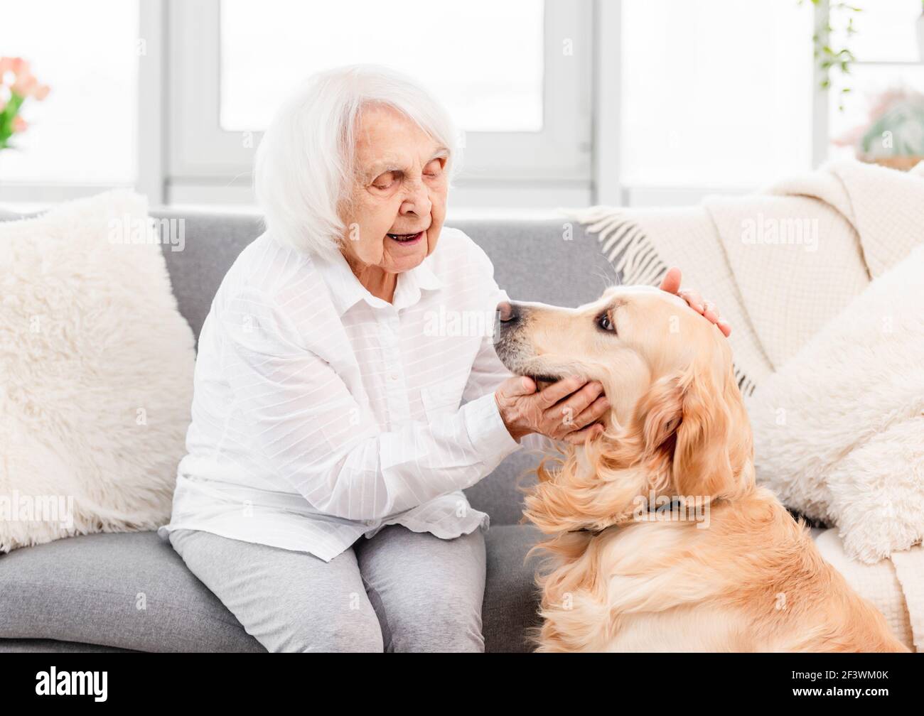 Woman golden retriever dog hi-res stock photography and images - Alamy