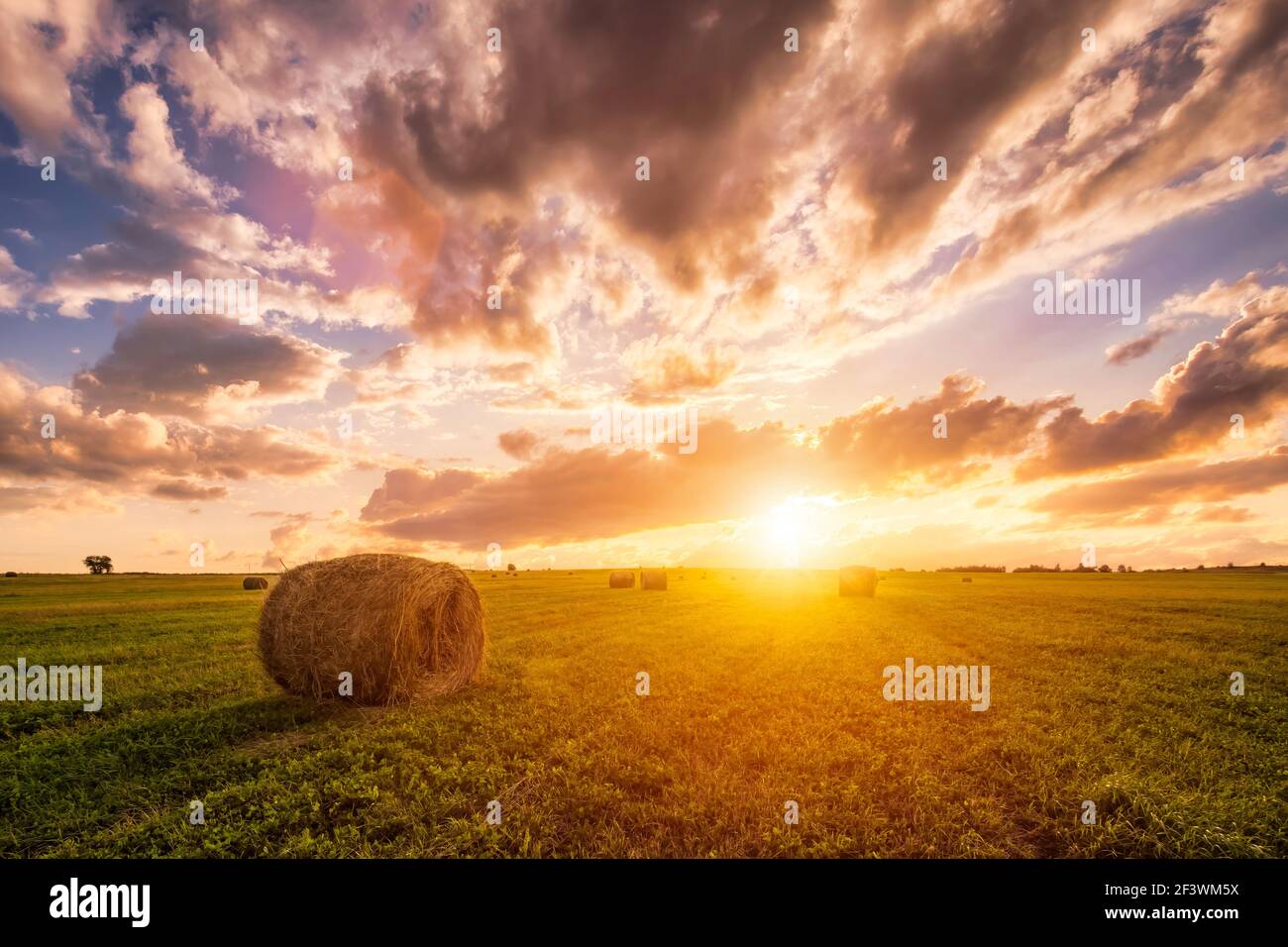 Sunset or sunrise in a field with haystacks on a summer or early autumn ...