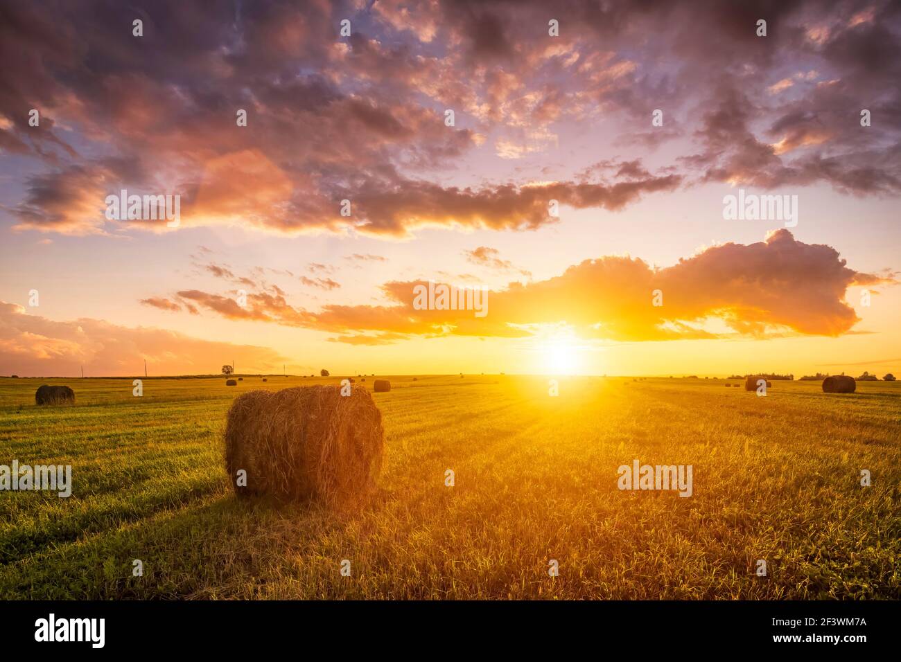 Sunset or sunrise in a field with haystacks on a summer or early autumn ...