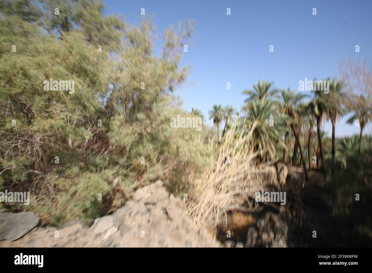 Khaybar to the north of Medina in the Hejaz. Before the advent of Islam ...