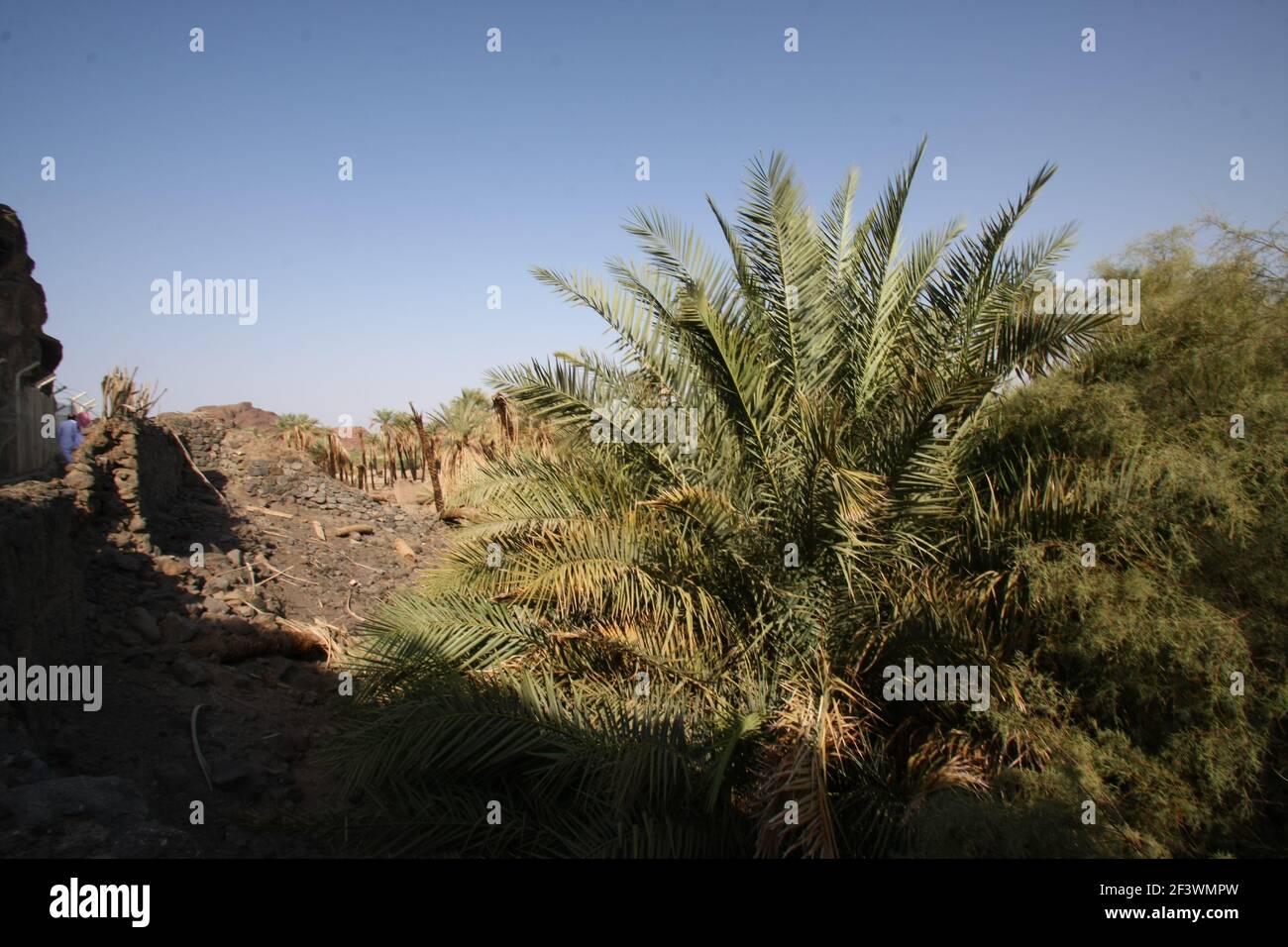 Khaybar to the north of Medina in the Hejaz. Before the advent of Islam ...