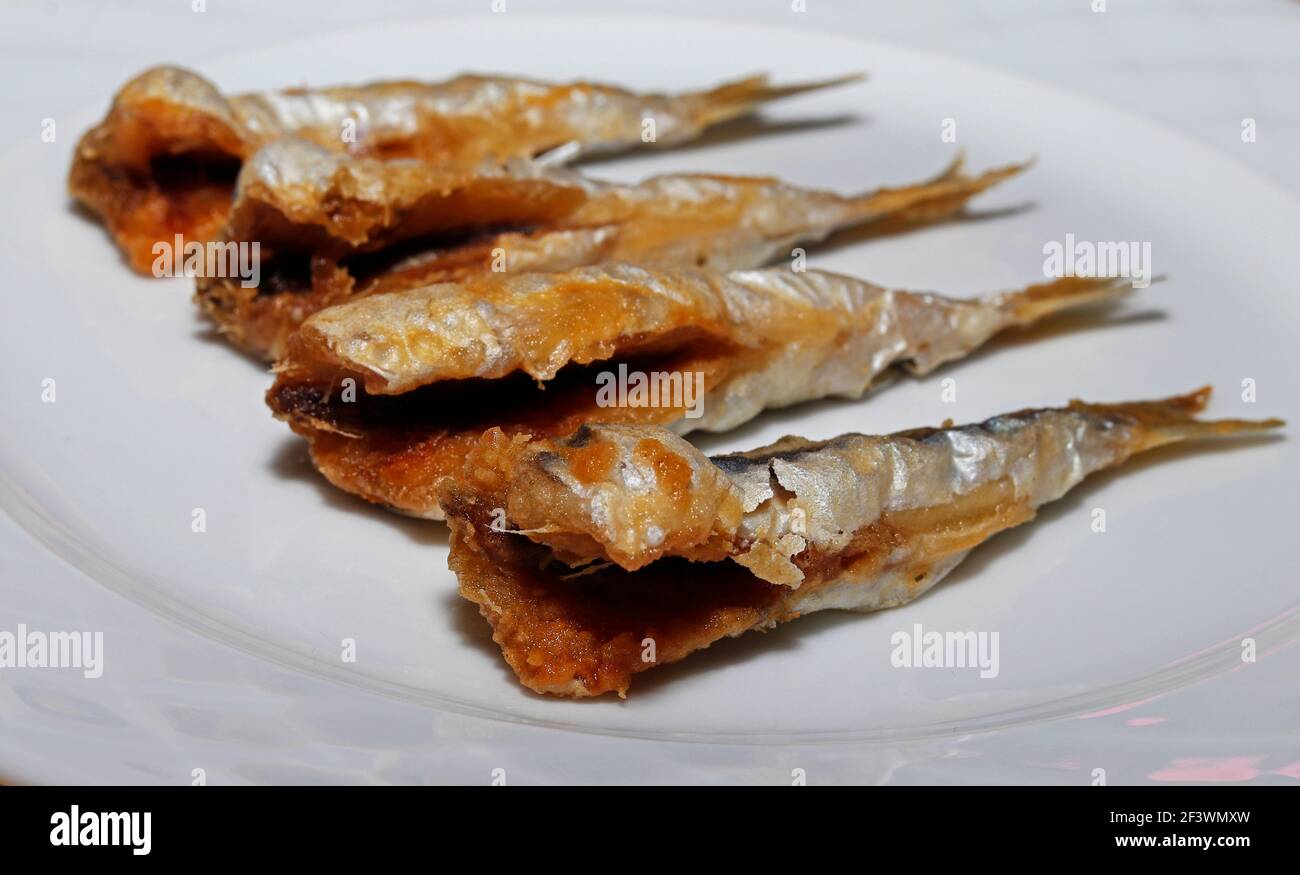 Close up of four fried anchovies in a dish. Greek traditional dish ...