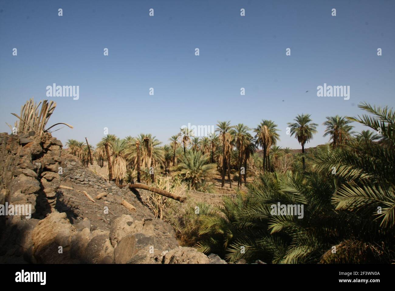 Khaybar to the north of Medina in the Hejaz. Before the advent of Islam ...