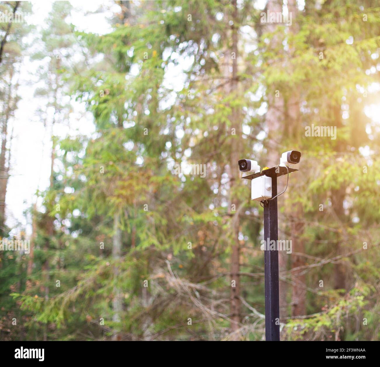 CCTV cameras in the forest against the background of trees. Copy space ...
