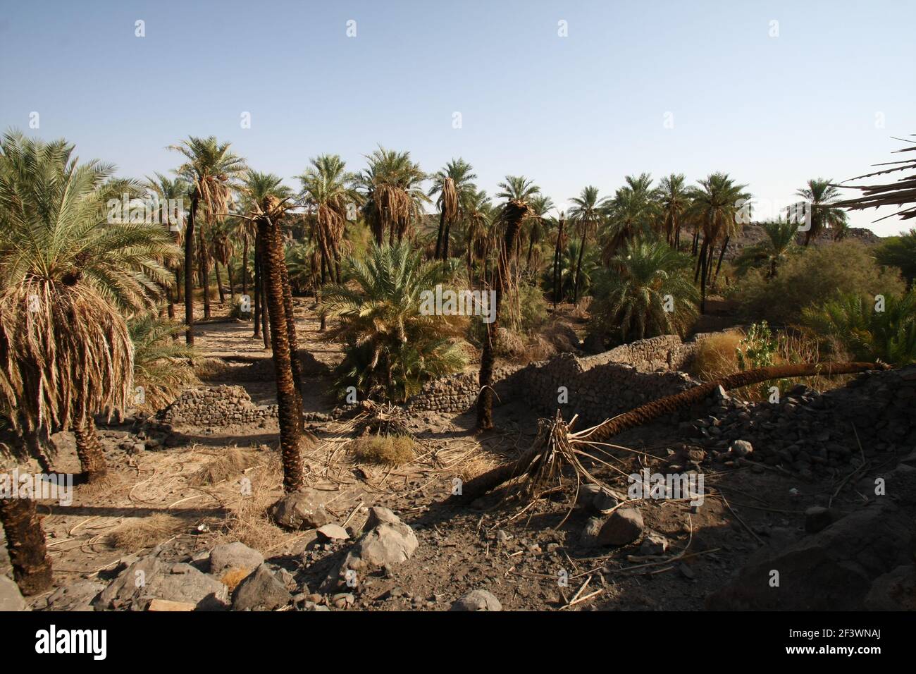 Khaybar to the north of Medina in the Hejaz. Before the advent of Islam ...