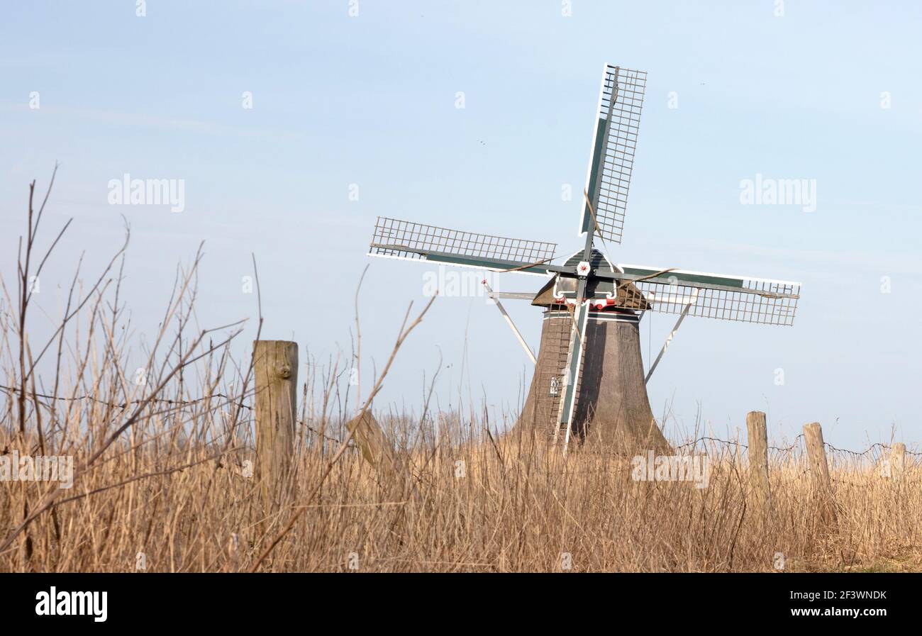 Old windmill in the Netherlands, catching dutch wind Stock Photo - Alamy