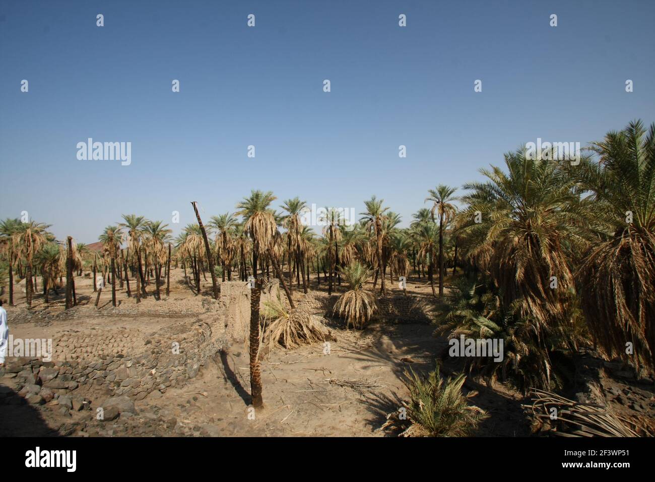 Khaybar to the north of Medina in the Hejaz. Before the advent of Islam ...