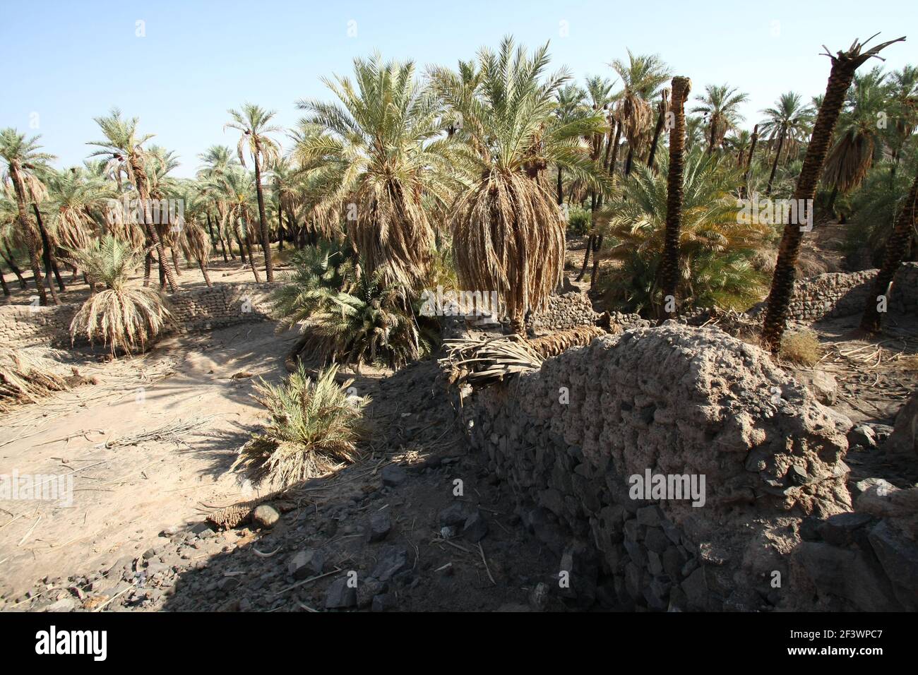 Khaybar to the north of Medina in the Hejaz. Before the advent of Islam ...