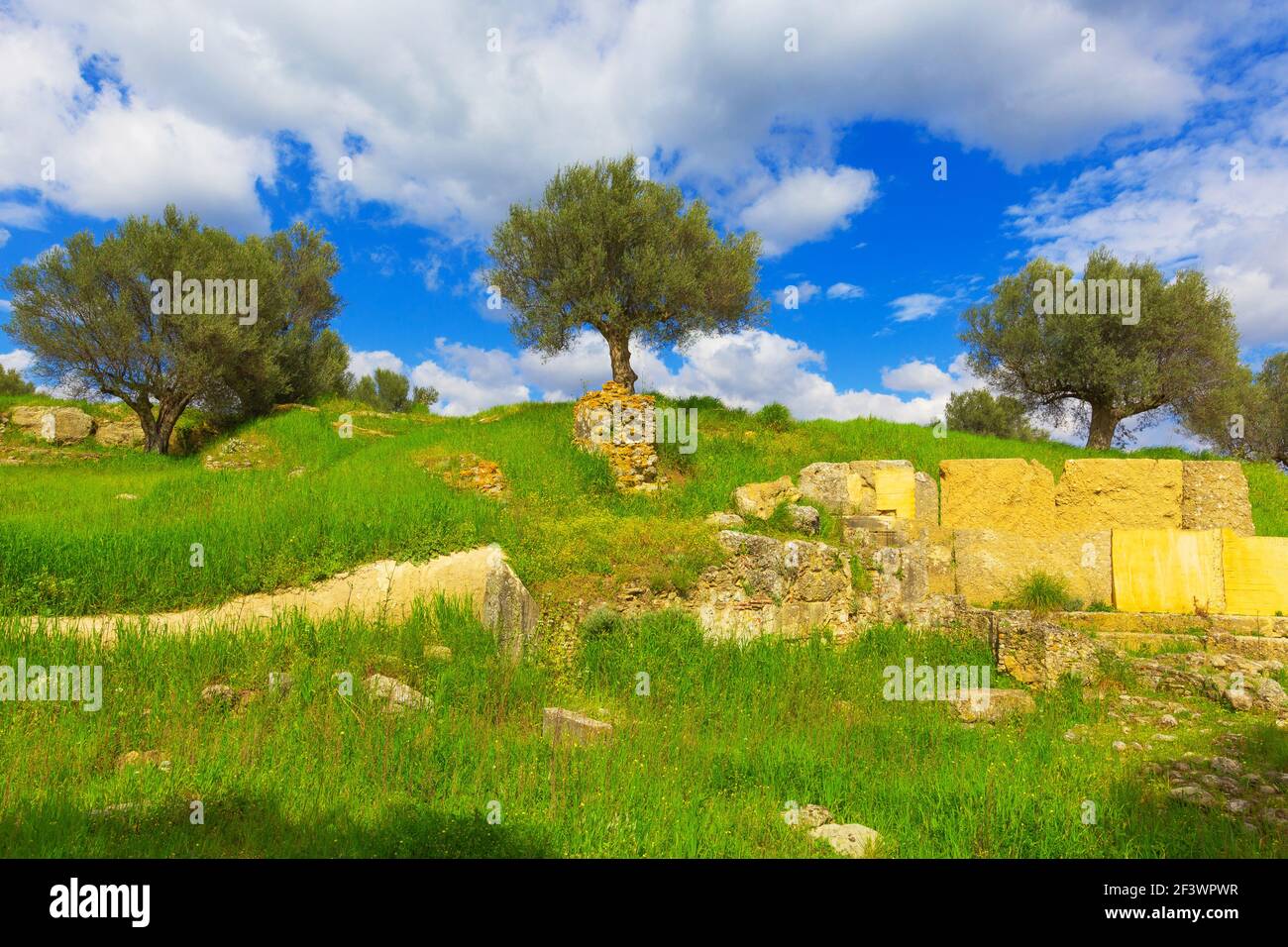 Sparta, Greece Ancient ruins remains and olive trees in Peloponnese ...