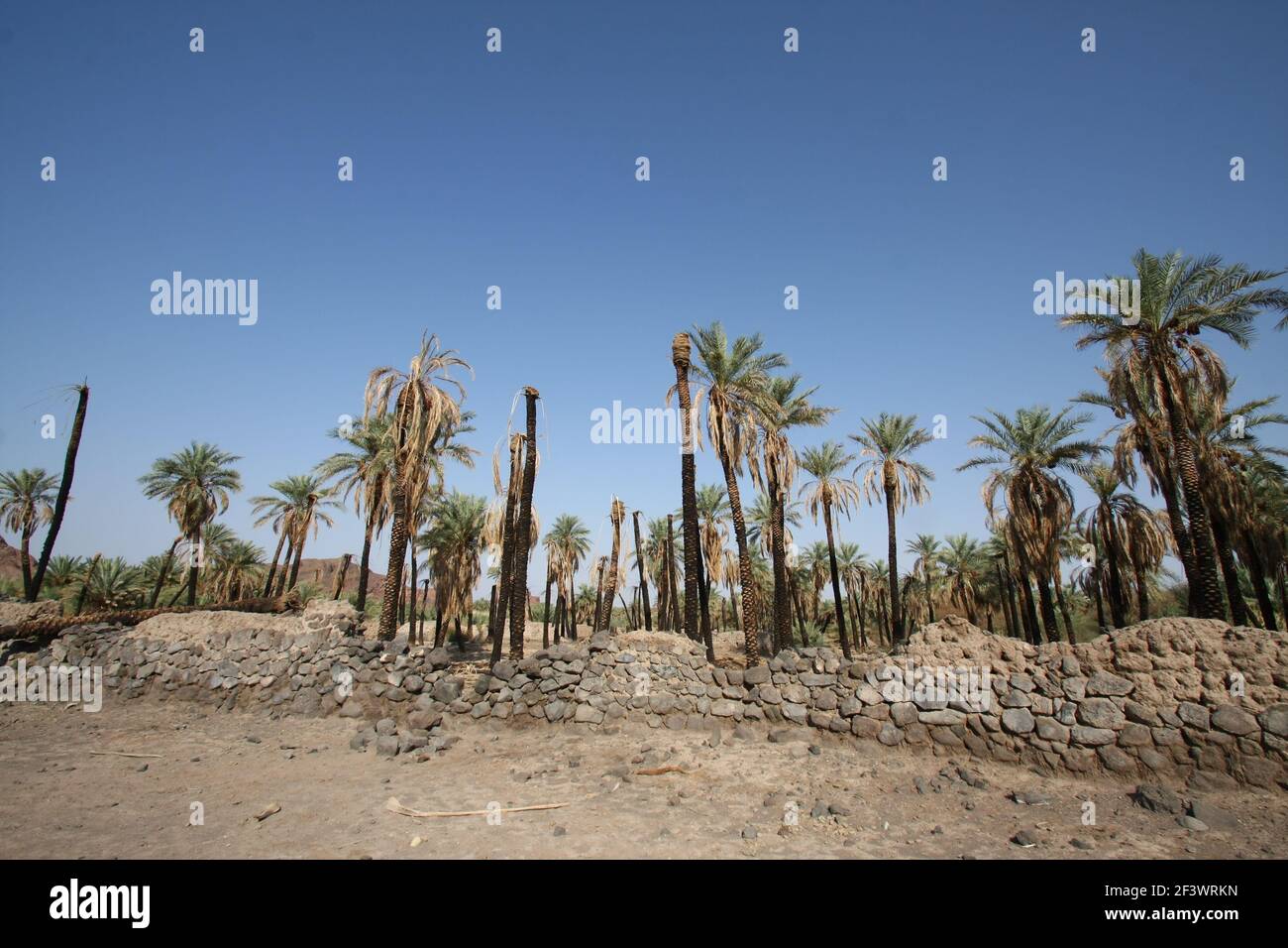 Khaybar to the north of Medina in the Hejaz. Before the advent of Islam ...