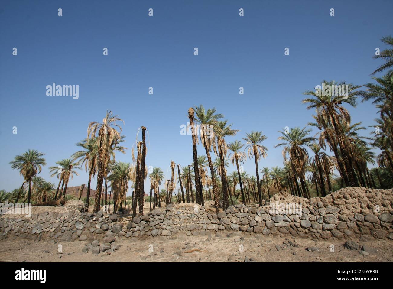 Khaybar to the north of Medina in the Hejaz. Before the advent of Islam ...