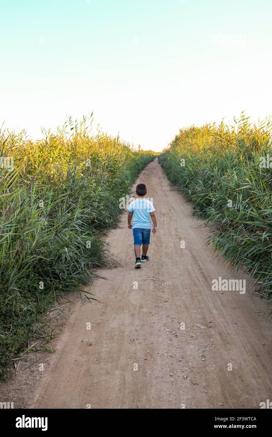 Back view of little boy walking down a path Stock Photo - Alamy