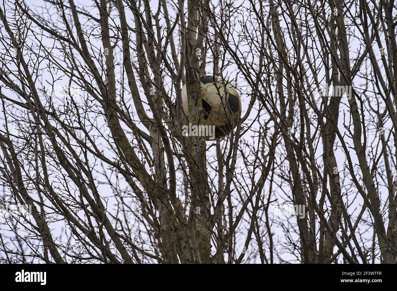 Child ball stuck tree hi-res stock photography and images - Alamy