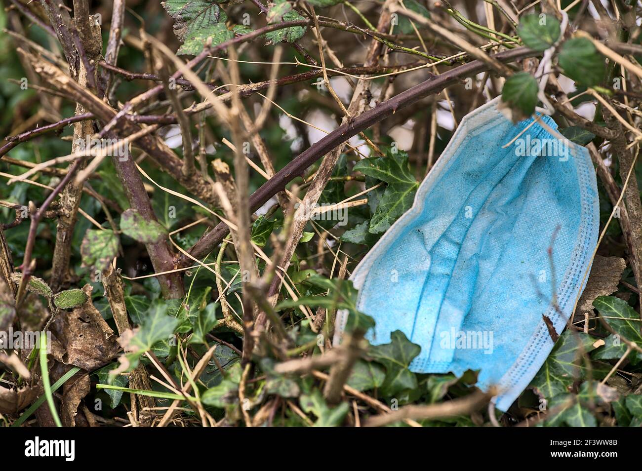 Environmental pollution with disposable surgical face mask during COVID ...