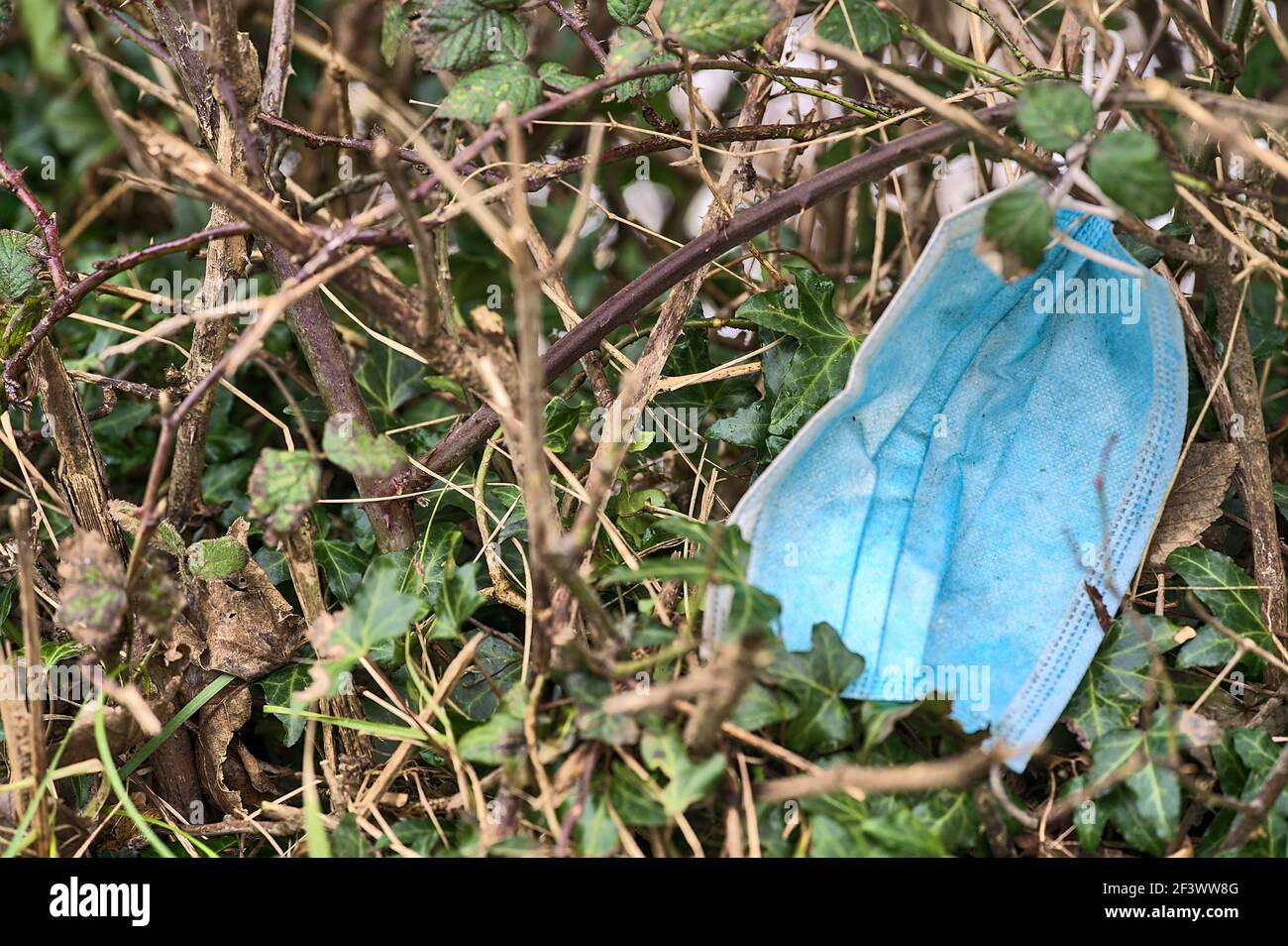 Environmental pollution with disposable surgical face mask during COVID ...