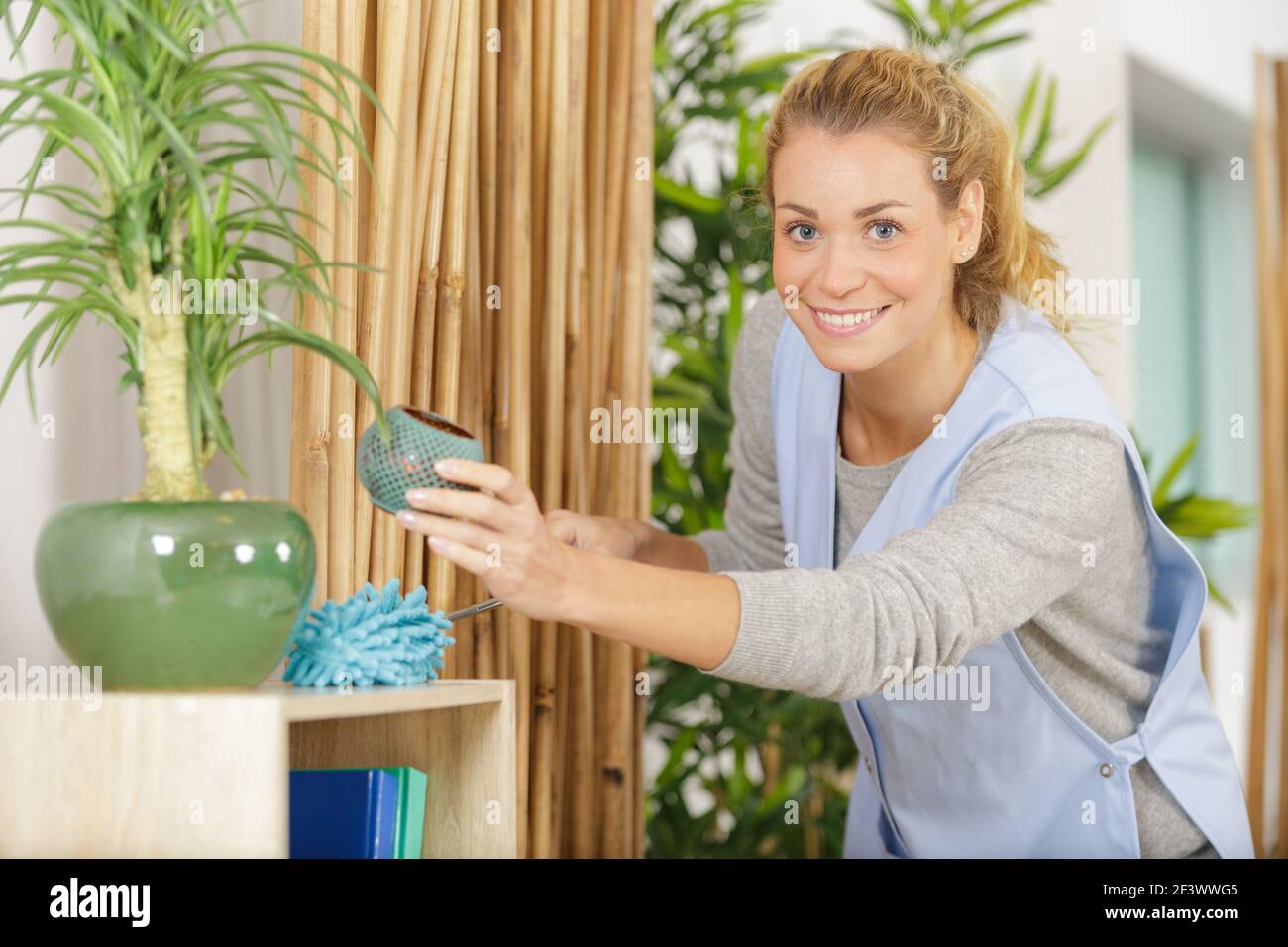happy housekeeper with washing-up liquids Stock Photo - Alamy